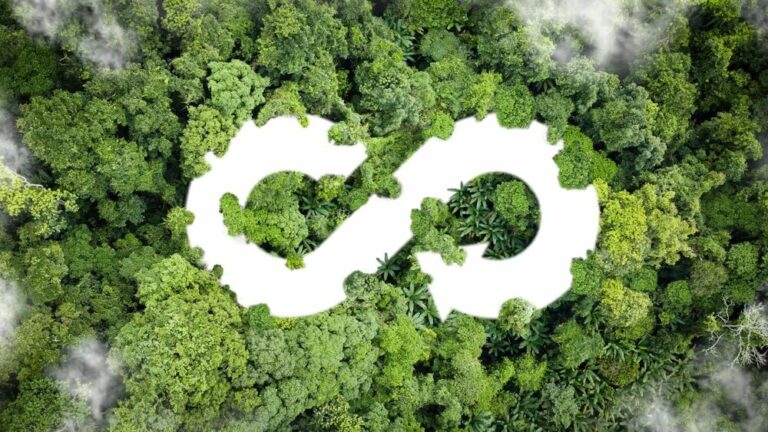 Economia verde: o que é, características, princípios e importância